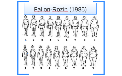 Fallon-Rozin (1985) by Lydia Patton on Prezi