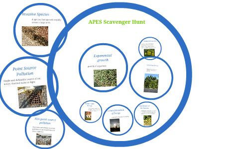 APES Scavenger Hunt by Jenny Sonhnarath on Prezi