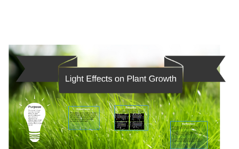 Light Effects on Plant Growth by Anisa Demirasi on Prezi