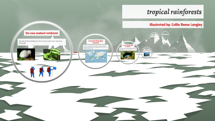 tropical rainforests by collin langley on Prezi Next
