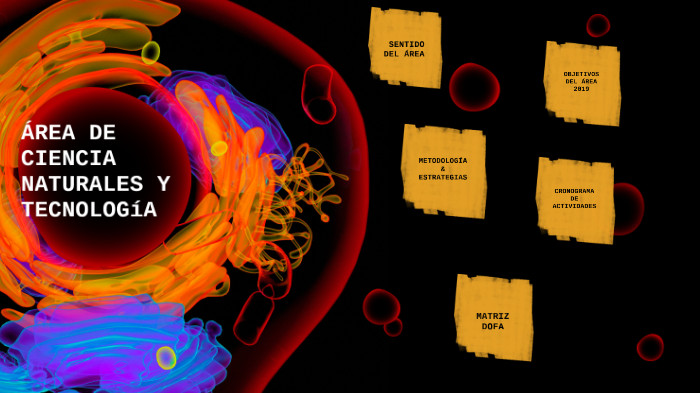 ÁREA DE CIENCIAS NATURALES by leidy vargas on Prezi