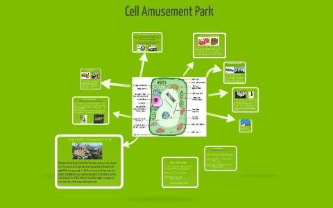 Cell Amusement Park by tintumon (hannah kurian) on Prezi