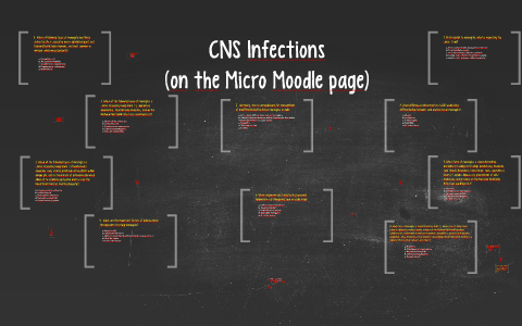 CNS Infections by Kevin Sigley on Prezi