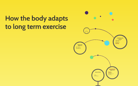 How the body adapts to long term exercise by Graeme K on Prezi