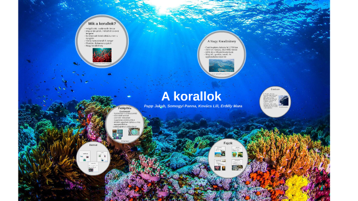 A korallok by Erdély Mara on Prezi