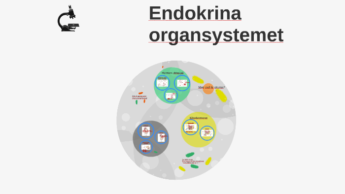 Endokrina organsystemet by Therese Rodriguez on Prezi