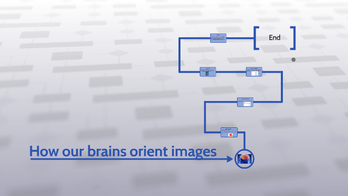How does your brain orient images? by Adriana Maksimowicz on Prezi