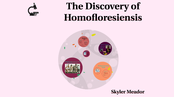 Homofloresiensis by Skyler Meador on Prezi