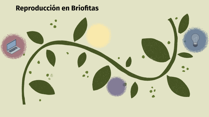 Briofitas by Paola Espinoza on Prezi
