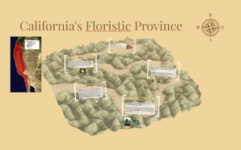 California's Floristic Province by Joe Hudson on Prezi