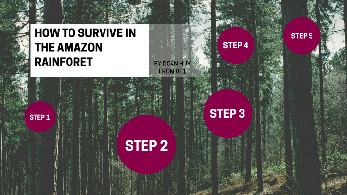 How To Survive In The Amazon Rainforest by Huy Đoàn on Prezi