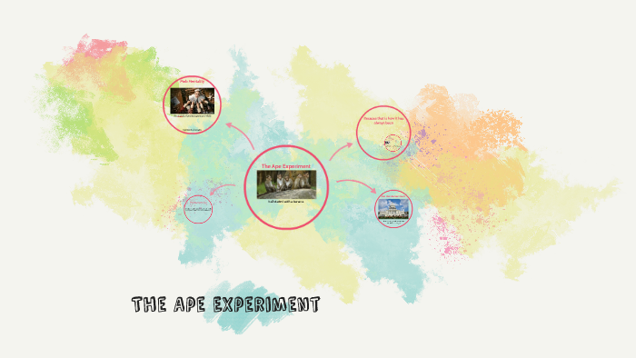 The Ape Experiment by Kaleb Ryan on Prezi
