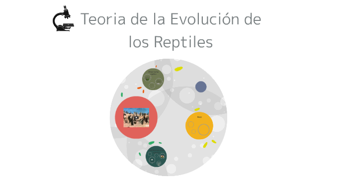 Teoria de la Evolución de los Reptiles by Catherine Badillo on Prezi