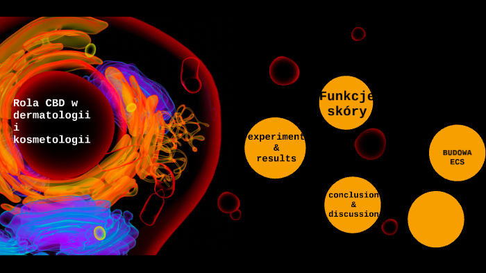 Budowa i funkcje skóry by Gabriel Ruciński on Prezi