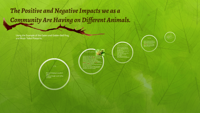 The Positive and Negative Impacts we as a Community Are Havi by diane ...