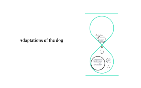 Adaptations of the dog by victor franco on Prezi
