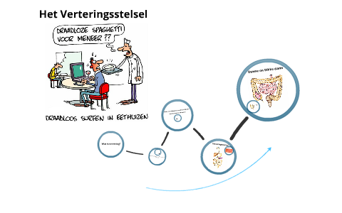 Het Verteringstelsel, Bs 6 en Bs 8, les 3, B2 by Guust Moors on Prezi