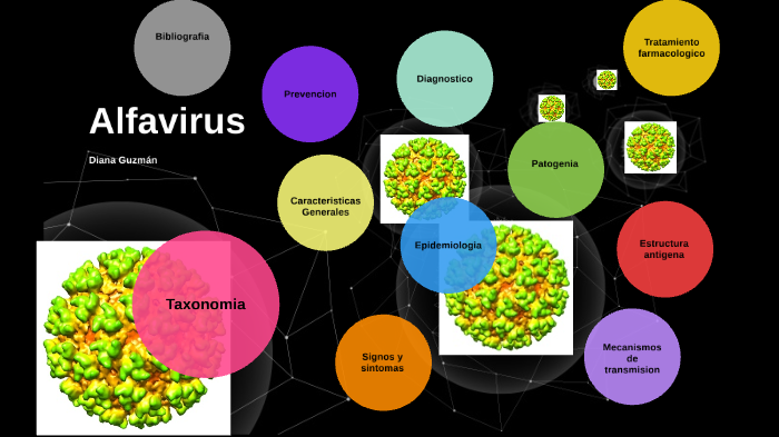 Alfavirus by Diana Gonzalez Guzman on Prezi