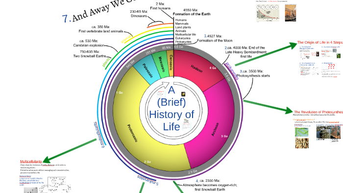 Evolution 1 The History of Life on Earth by Daniel Cordek on Prezi