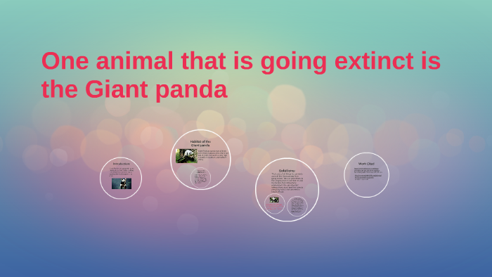 One animal that is going extinct is the Giant panda by Maribel ...