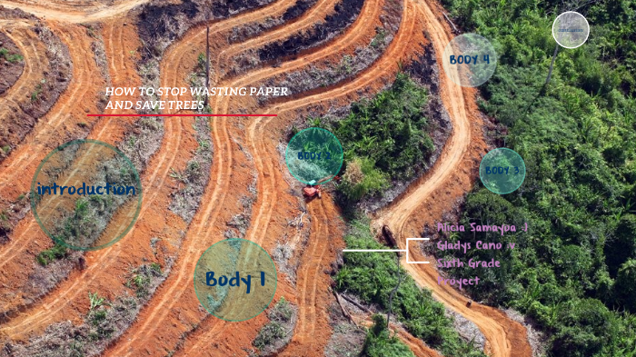 how to stop wasting paper and save trees by ismael samayoa on Prezi