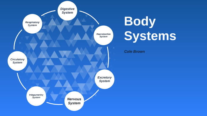 Body Systems by Cole Brown on Prezi