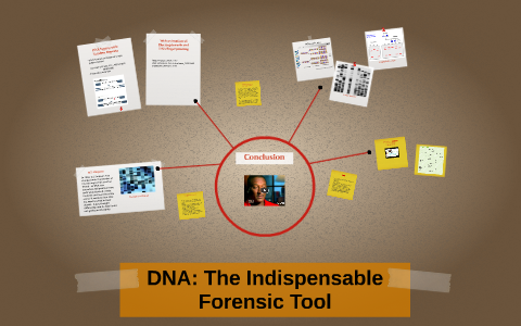 DNA: The Indispensable Forensic Tool by Deanna Rizzo on Prezi