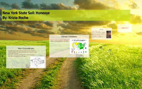 New York State Soil: Honeoye by Krizia Rocha on Prezi