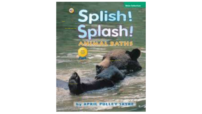 Splish Splash Animal Baths by Tina Baker on Prezi