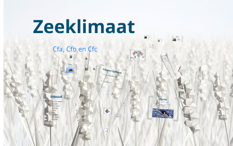 Zeeklimaat by Florence Springer