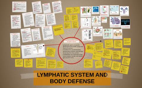 LYMPHATIC SYSTEM AND BODY DEFENSE by Loyyy Ladeza on Prezi