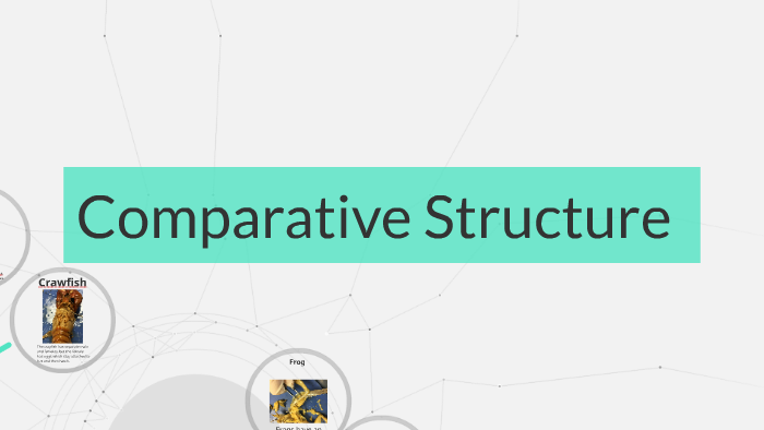 Comparative Structure by on Prezi