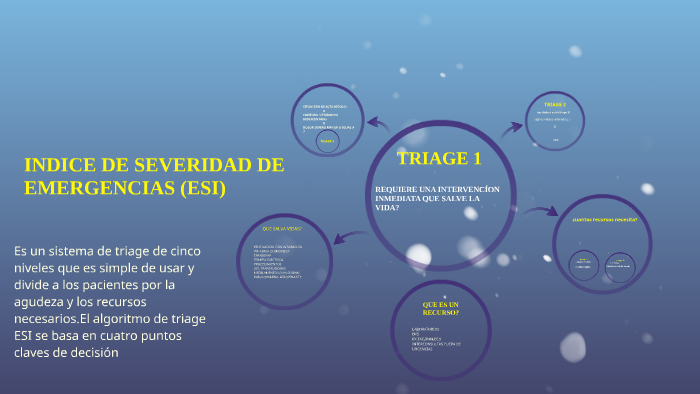 Emergency Severity Index (ESI)4 by alexander robayo on Prezi