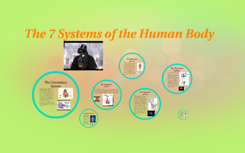 The 7 Systems of the Human Body by Kerri Wahl on Prezi
