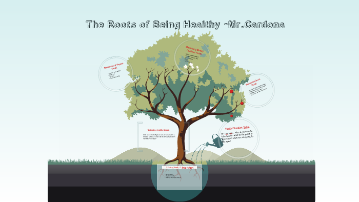 The 3 Parts of Health by David Cardona on Prezi