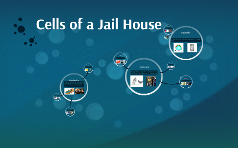cells of jail cells by anna claire johnson on Prezi