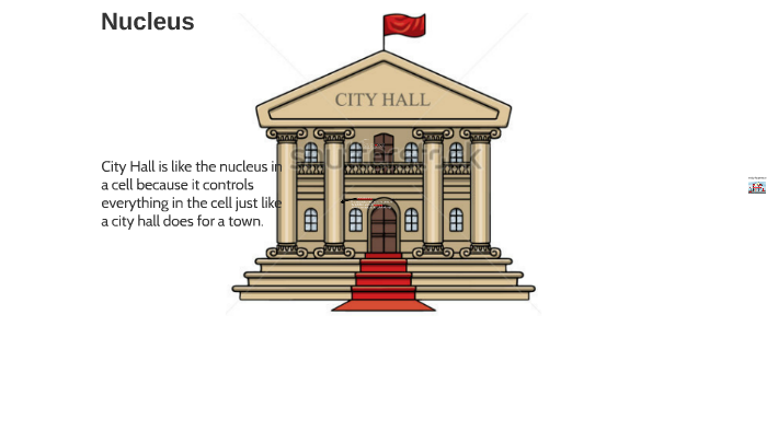 City Hall is like the nucleus in a cell because it controls by Paige ...