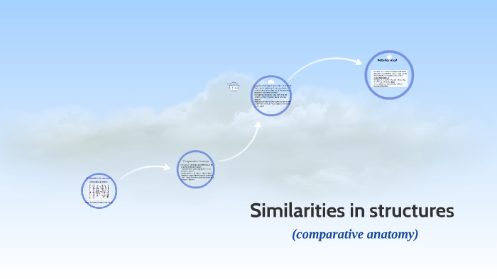 Similarities in structure by caryn miller on Prezi
