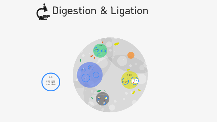 Digestion & Ligation by Hyeri Han on Prezi