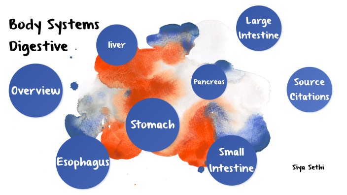 Health Body Systems by Siya Sethi on Prezi