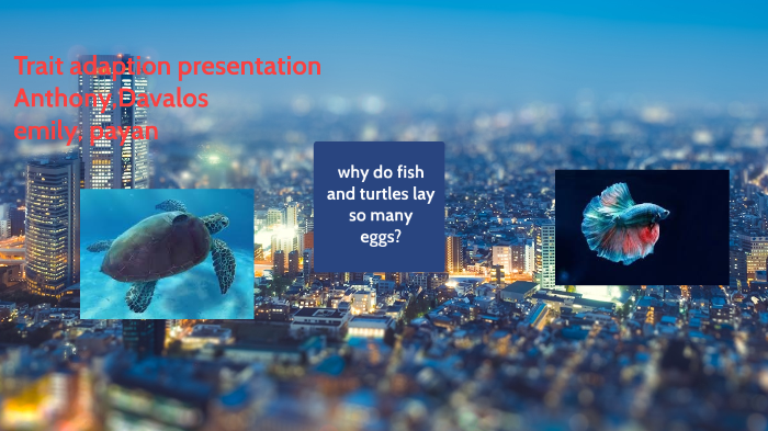 Trait Adaptation by anthony davalos on Prezi