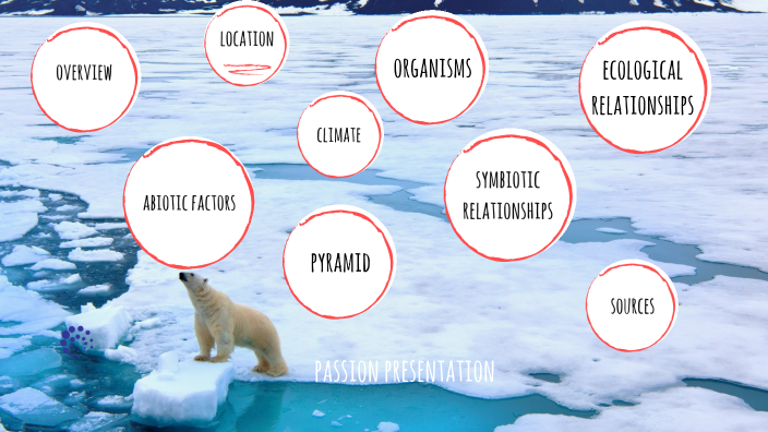 presentation by izzy hines on Prezi