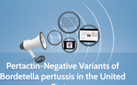 Pertactin-Negative Variants of Bordetella pertussis in the U by Denisse ...