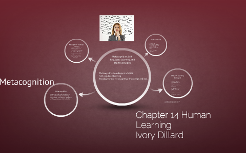 Chapter 14 Human Learning by on Prezi