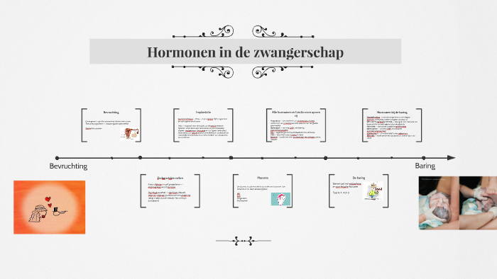 Bevruchting by Rebecca Tijhof on Prezi