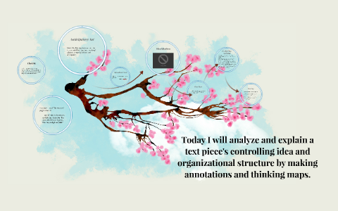 Match the thinking map to a structure (cause and effect, seq by Chelsea ...