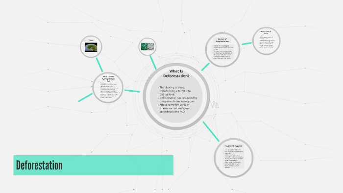 Deforestation by Music ISU ClivenTristianAustin on Prezi