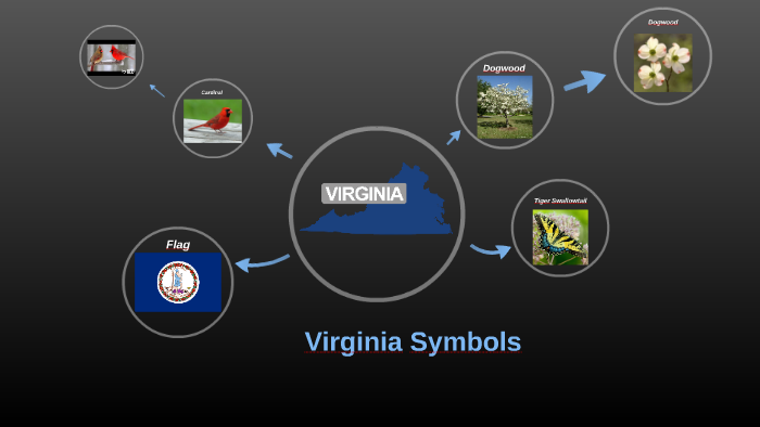 Virginia Symbols by Natalie Minehart on Prezi