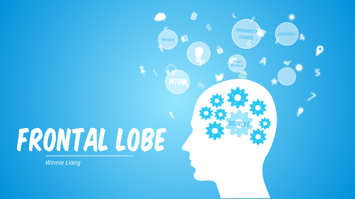 Psychology: Frontal Lobe by Yaying Liang on Prezi