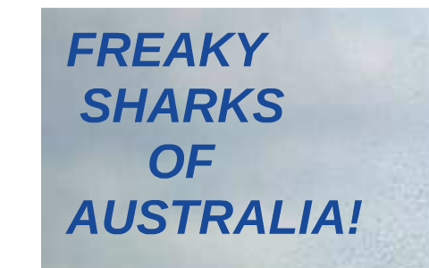 freaky sharks of australia by Yasmeen E on Prezi